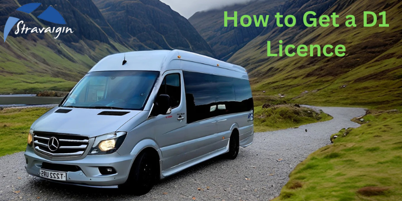 How to Get a D1 Licence
